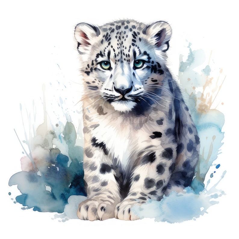 Cute Snow Leopard Clipart 12 High Quality Jpgs 300 DPI - Etsy