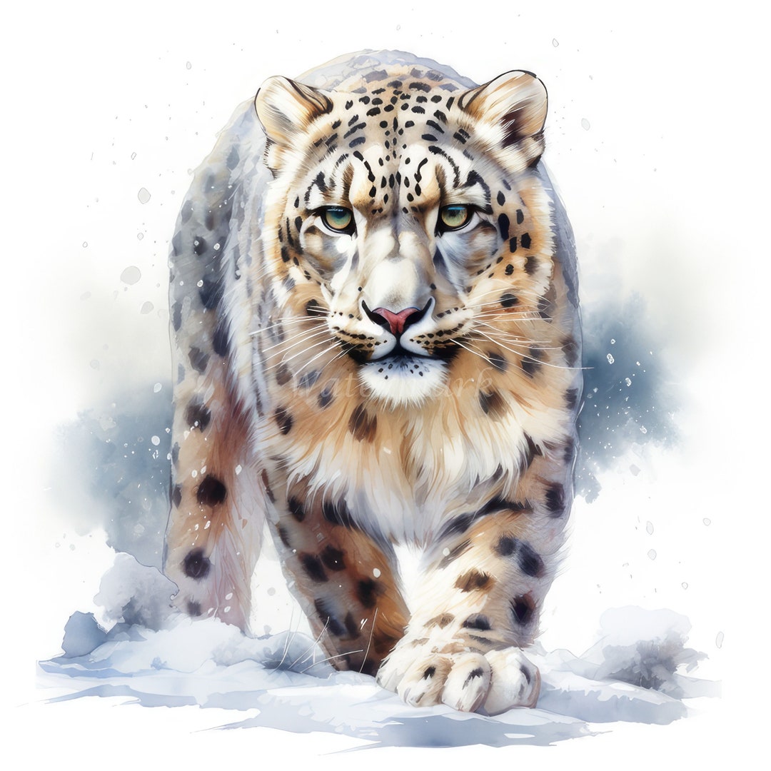 Cute Snow Leopard Clipart 12 High Quality Jpgs 300 DPI - Etsy