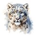 Cute Snow Leopard Clipart, 12 High Quality Jpgs | 300 DPI Digital ...