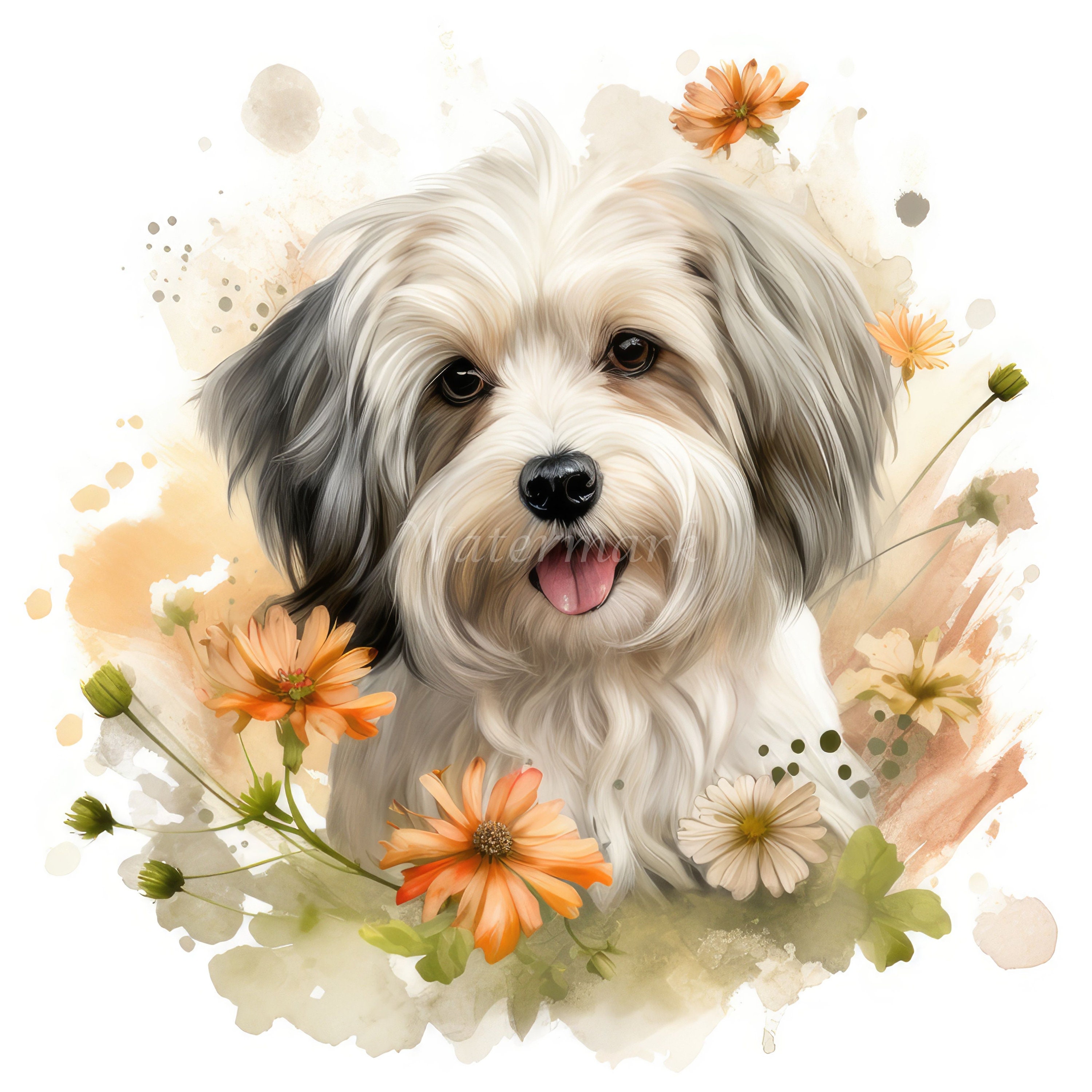 Cute Havanese Dog Clipart 12 High Quality Jpgs Dogs Digital - Etsy