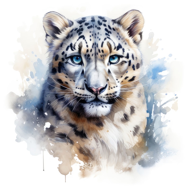 Cute Snow Leopard Clipart 12 High Quality Jpgs 300 DPI - Etsy