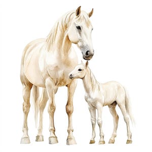 Watercolor Horse and Foal Clipart | 11 High-resolution Jpgs | Farm ...
