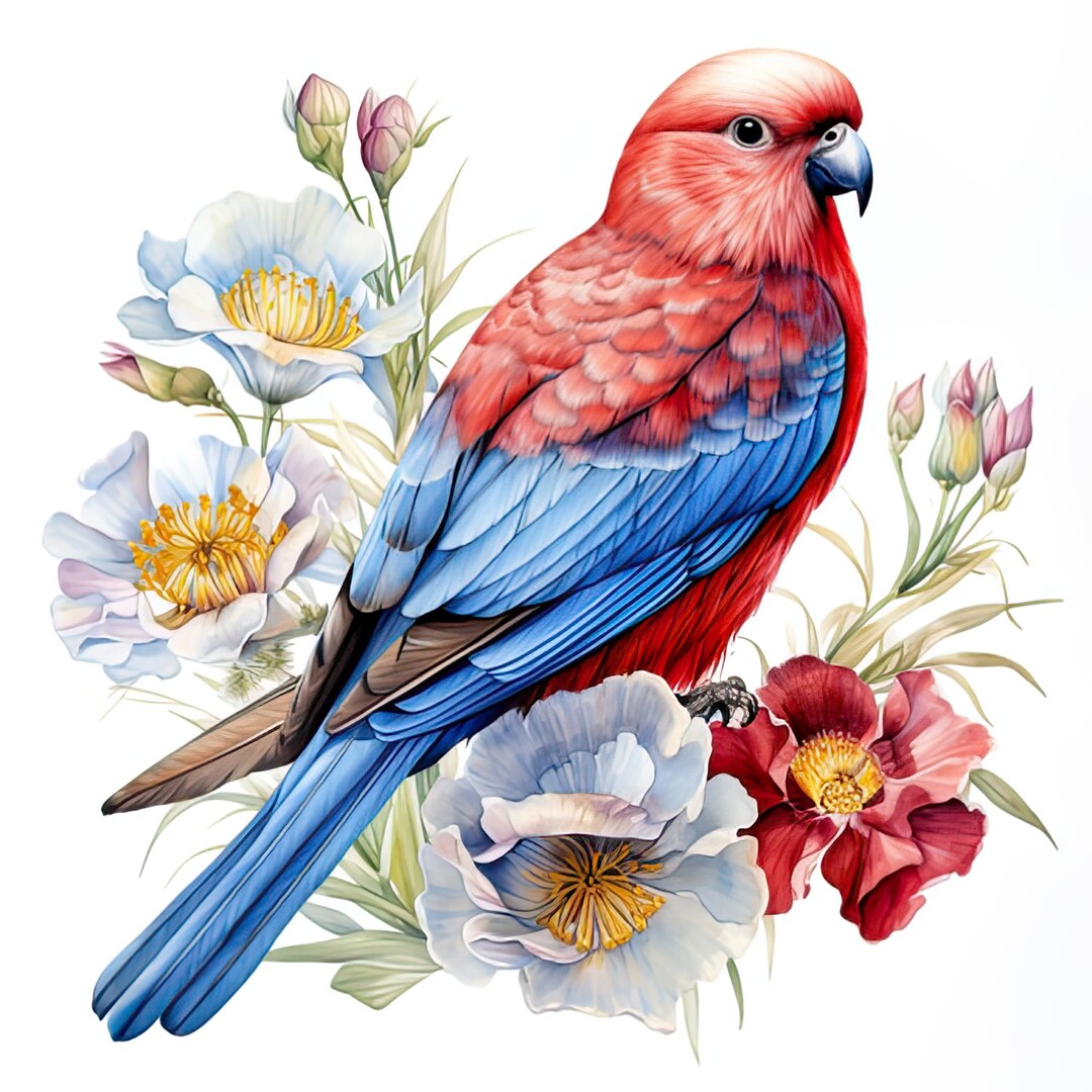 Crimson Rosella Bird PNG Clipart, Bird Flowers PNG, Bird Watercolor ...
