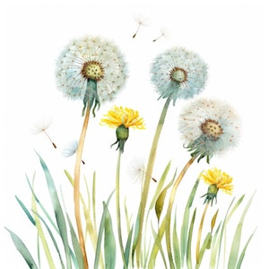 Watercolor Dandelion Clipart Collection - 34 High-resolution JPG Floral ...