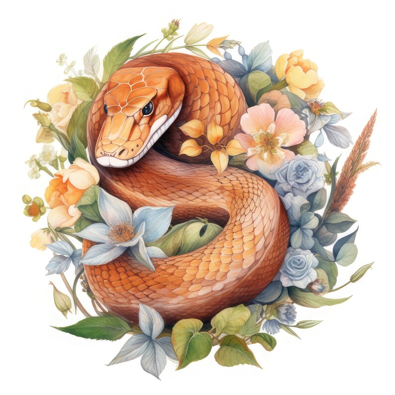 Copperhead Snake With Flowers Clipart 11 High Quality Images - Etsy