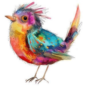 18 Whimsical Birds Clipart, Funny Birds, Digital Clipart, Watercolor ...
