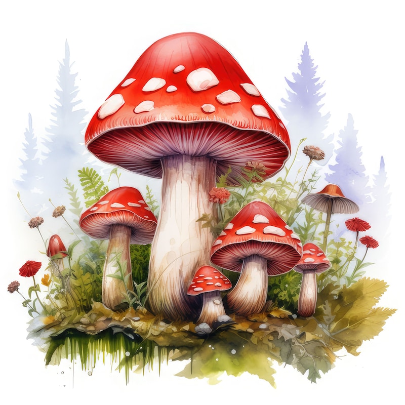 Red Mushroom - Etsy