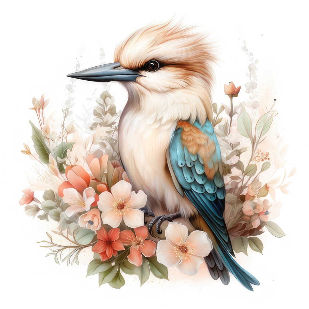 5 Kookaburra Bird Pngs Clipart, Bird Flowers PNG, Bird Watercolor ...