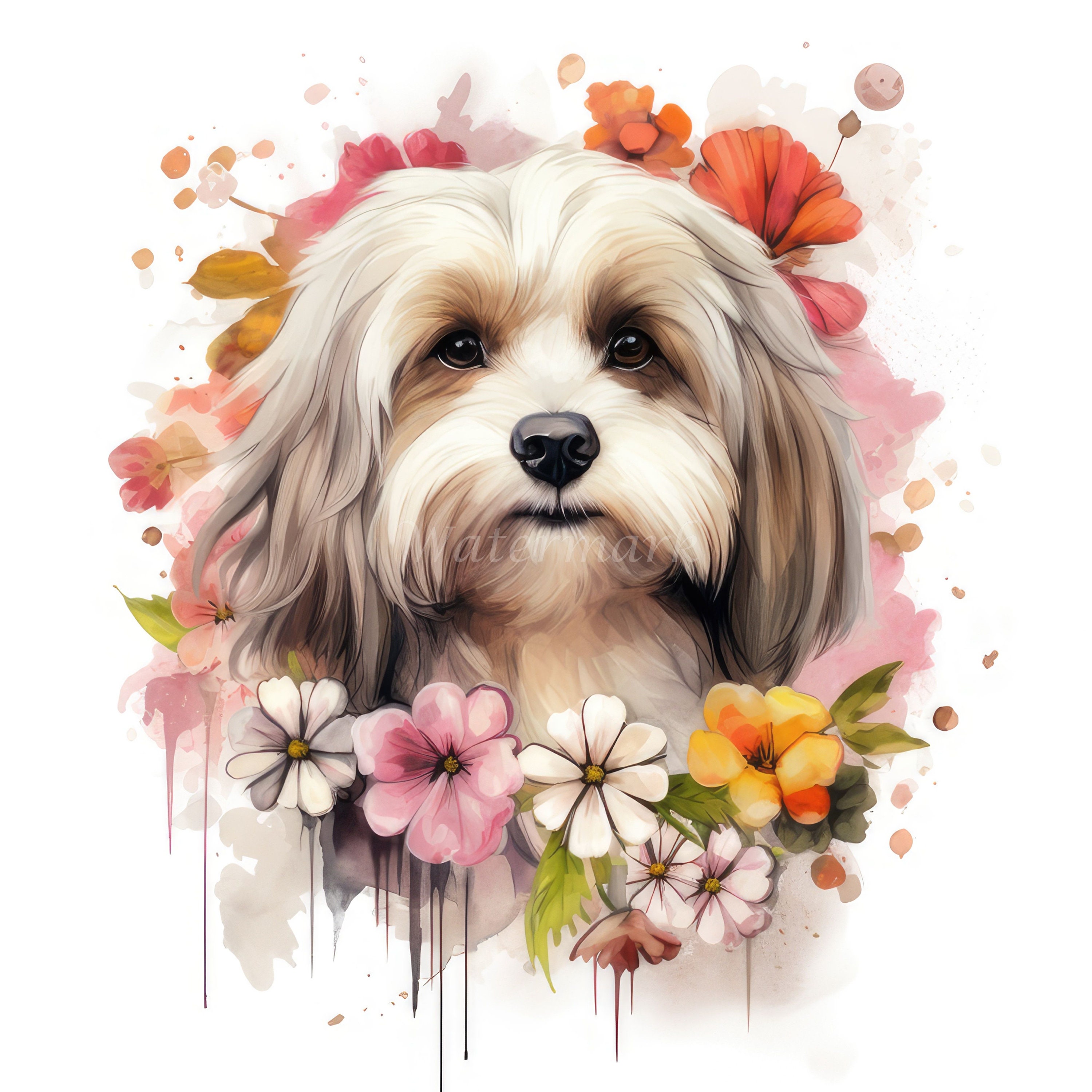 Cute Havanese Dog Clipart 12 High Quality Jpgs Dogs Digital - Etsy