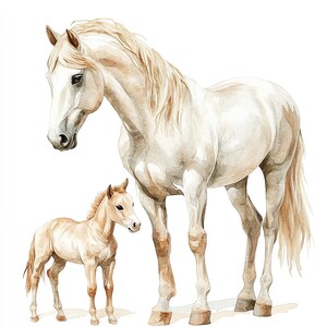 Watercolor Horse and Foal Clipart | 11 High-resolution Jpgs | Farm ...