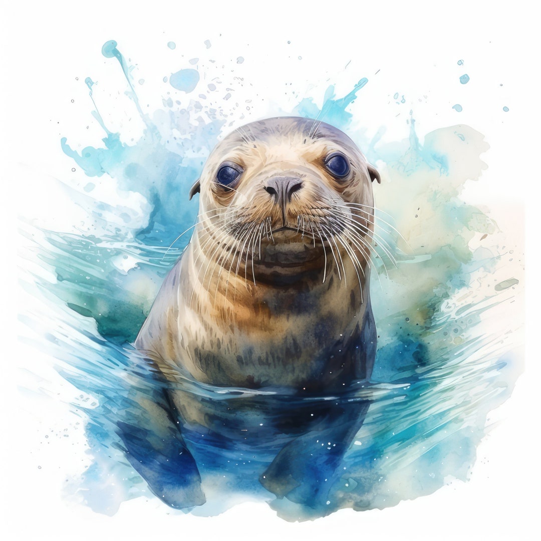 Sea Lion in Ocean Clipart 12 High Quality Images, 300 DPI Digital ...