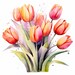 Tulips Clipart 12 High Quality Jpgs, Tulip Flower Clip Art Digital ...