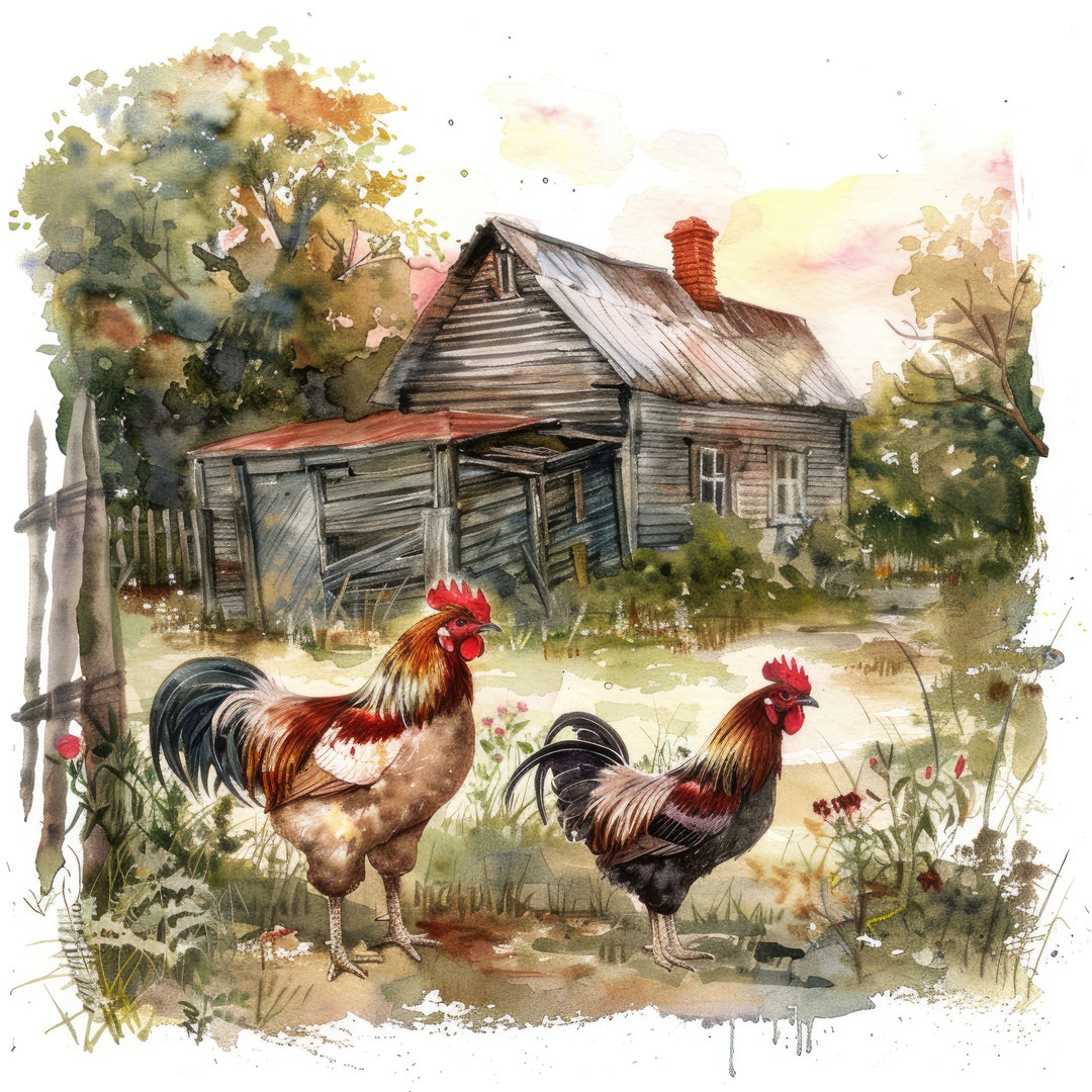 12 Farmyard Chickens Clipart, Printable Watercolor Clipart, 12 High ...