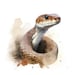 Australian Brown Snake Clipart, 13 High Quality Jpgs, Venomous Snake ...