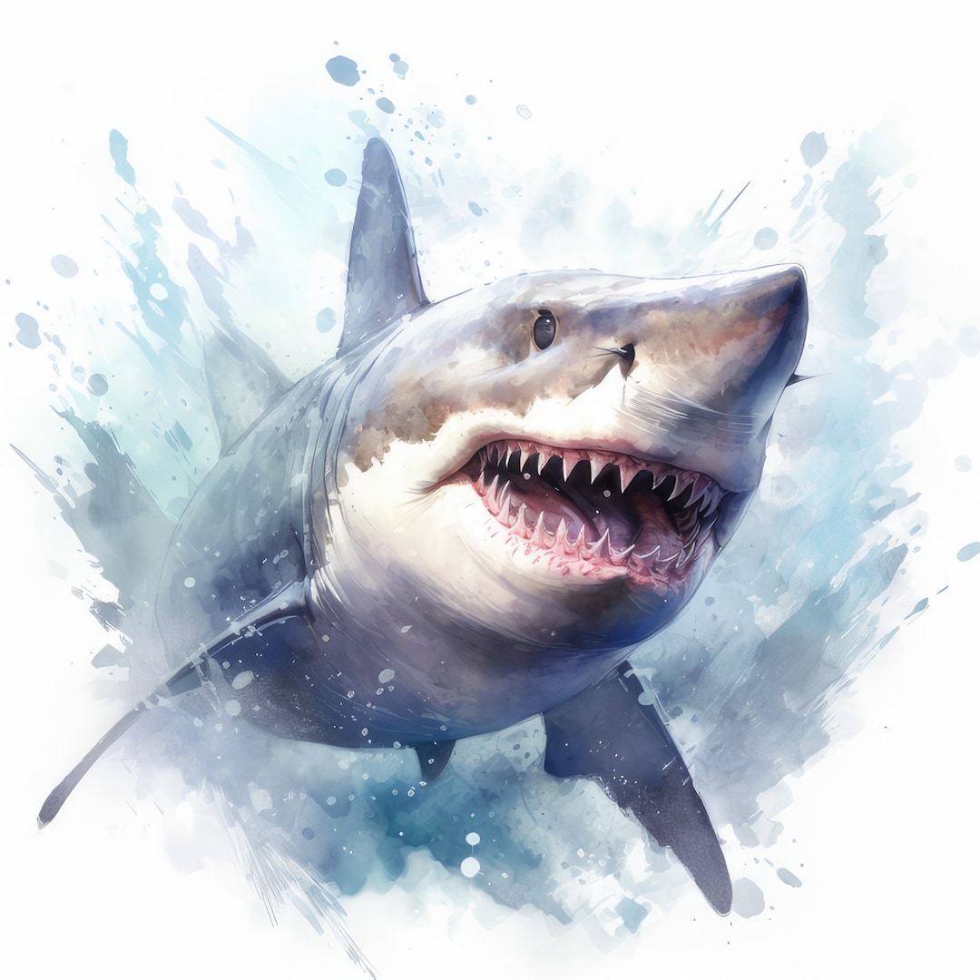 Fierce Shark Clipart 12 High Quality Images 300 DPI Digital - Etsy