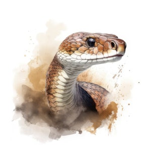 Australian Brown Snake Clipart, 13 High Quality Jpgs, Venomous Snake ...