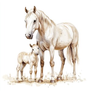 Watercolor Horse and Foal Clipart | 11 High-resolution Jpgs | Farm ...