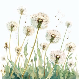 Watercolor Dandelion Clipart Collection - 34 High-resolution JPG Floral ...