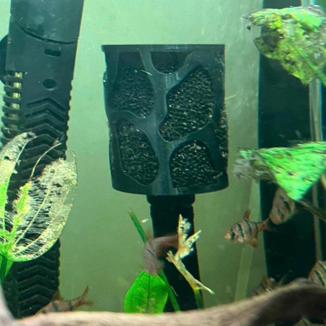 Pre-filter Intake Covers Fluval Roma - Baby Safe Filter Protection With ...