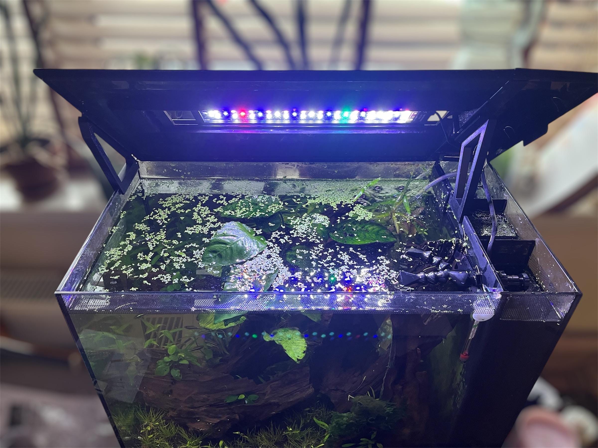 Lid Prop Fluval Spec 60- Hassle Free Maintenance! - Etsy