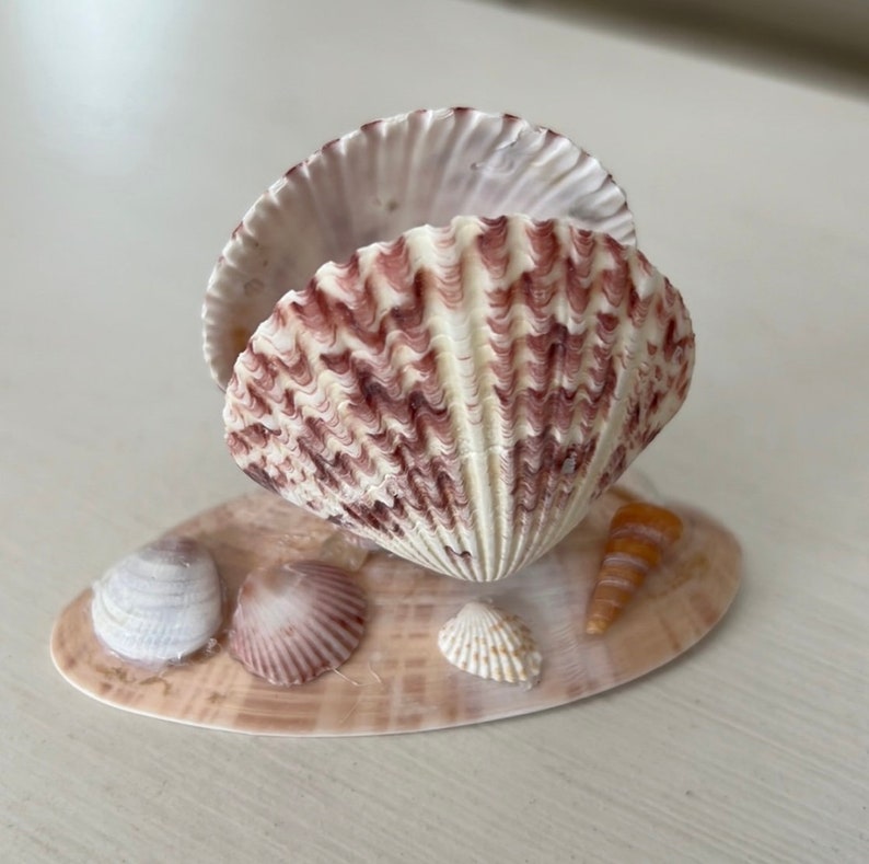 Sea Shell Business Card/appointment Card Holder - Etsy