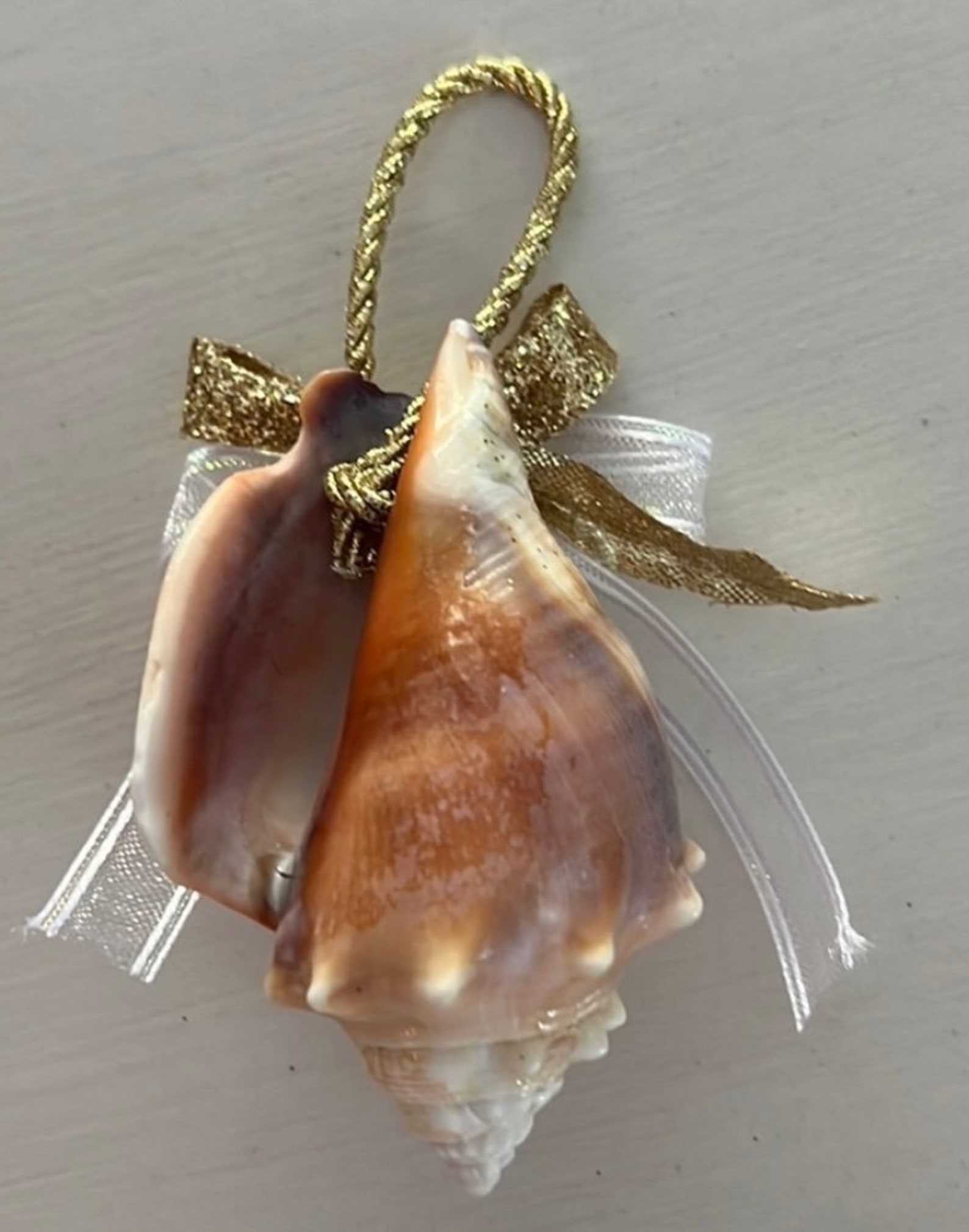 Coastal Conch Shell Holiday Ornament - Etsy