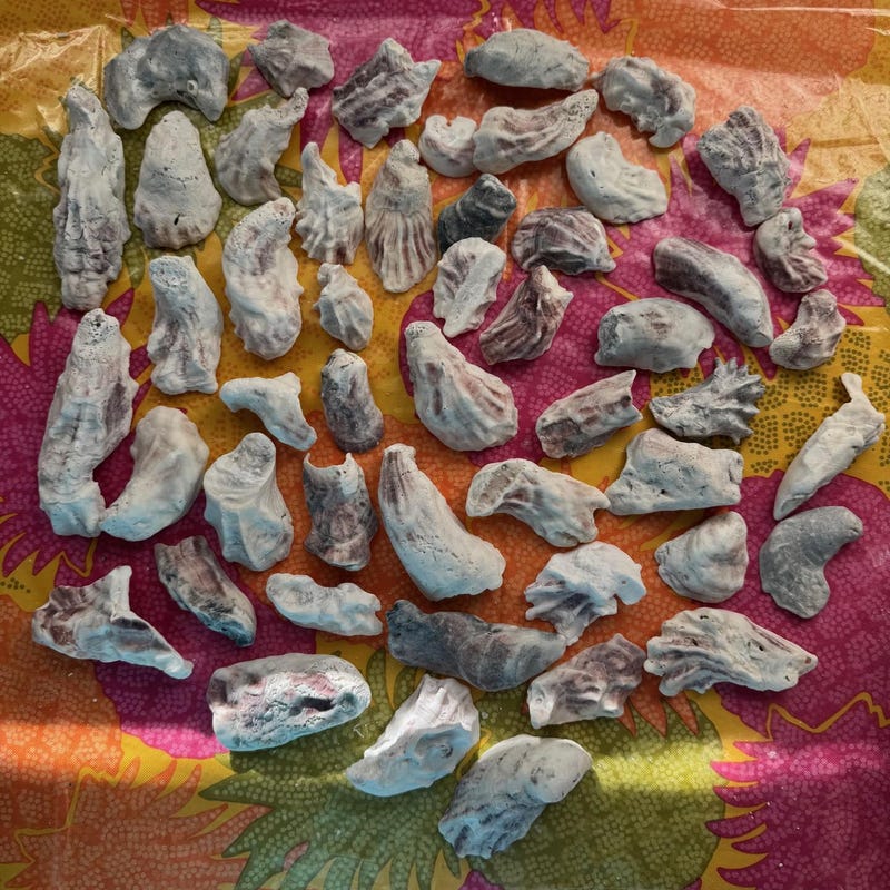 Oyster Ornament Lot - Etsy