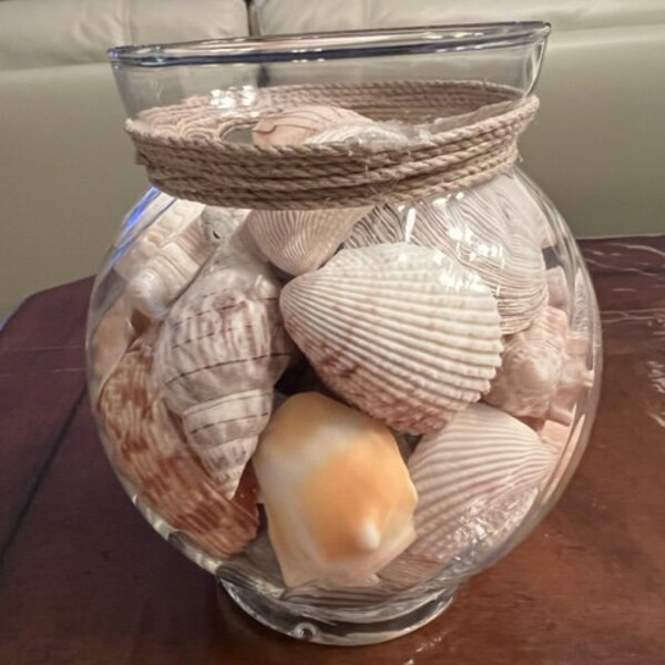 Seashell Vase - Etsy