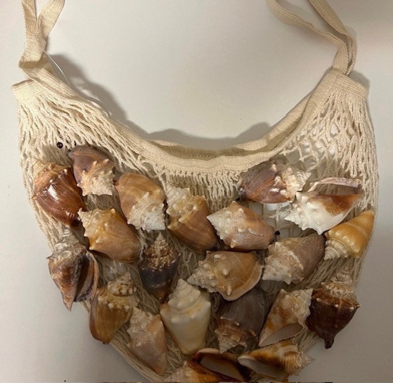 Conch Shells in Net Bag - Etsy
