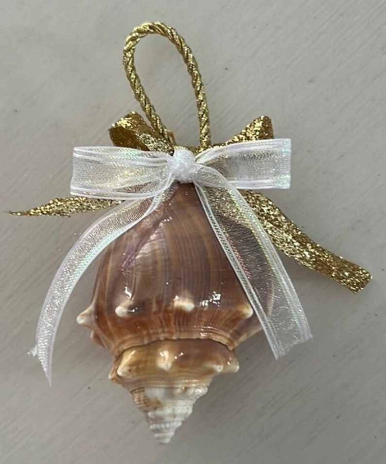 Coastal Conch Shell Holiday Ornament - Etsy