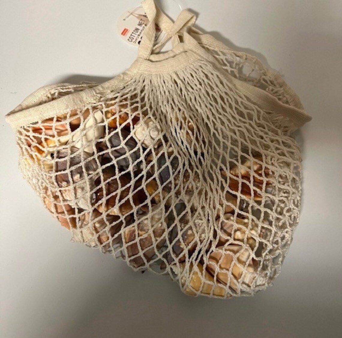 Conch Shells in Net Bag - Etsy
