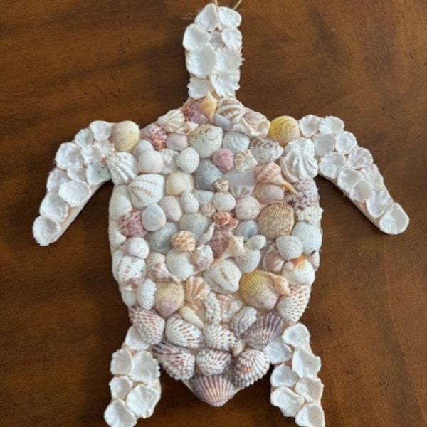 Seashell Turtle - Etsy