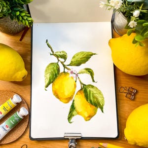 Lemons Tutorial Step by Step Painting Downloadable PDF, Beginner’s ...