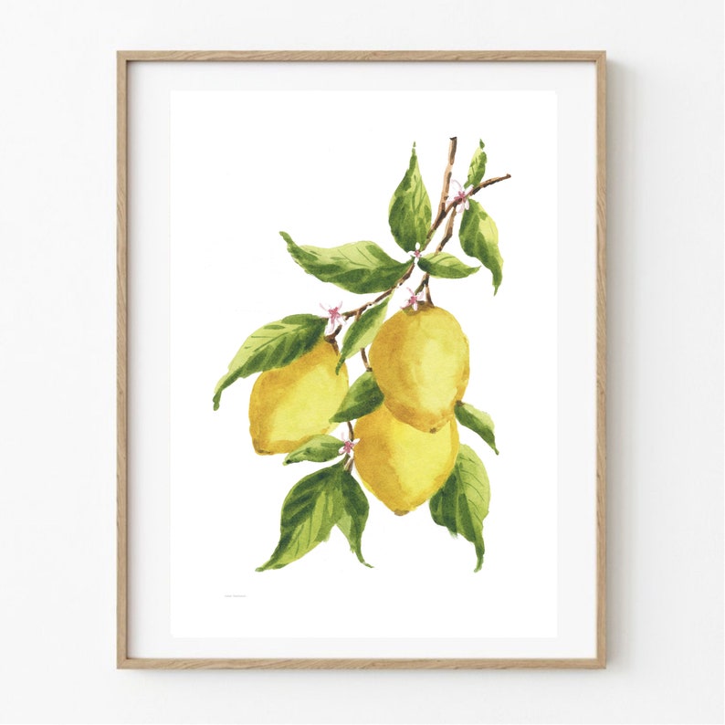 Lemon Print, Citrus Fruit Printable Wall Art, Kitchen Decor, Lemon ...