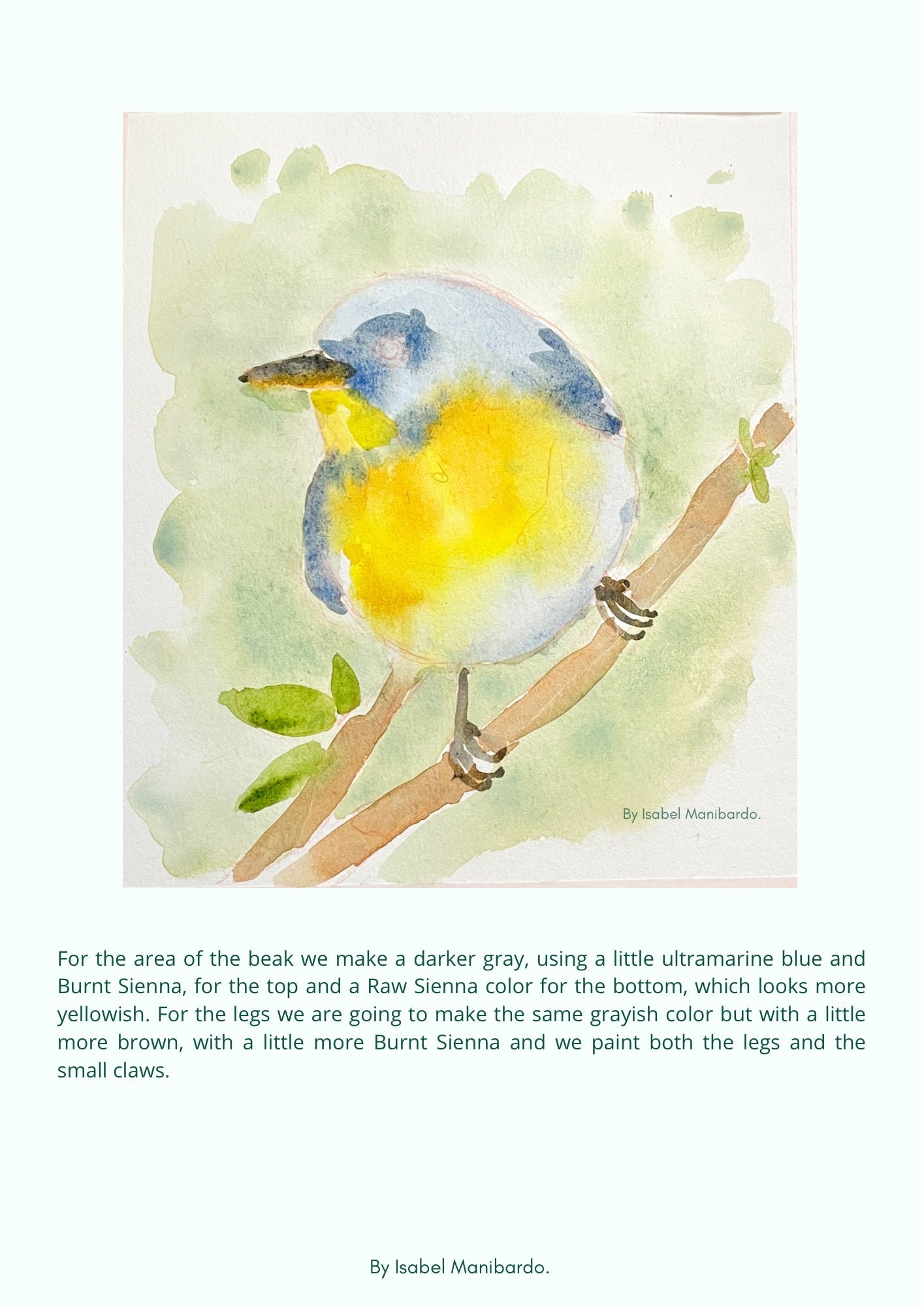 Watercolor Bird Tutorial Step by Step Painting Downloadable PDF, Easy ...