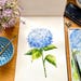 Hydrangea Tutorial Video Watercolour Flower Step by Step Painting ...