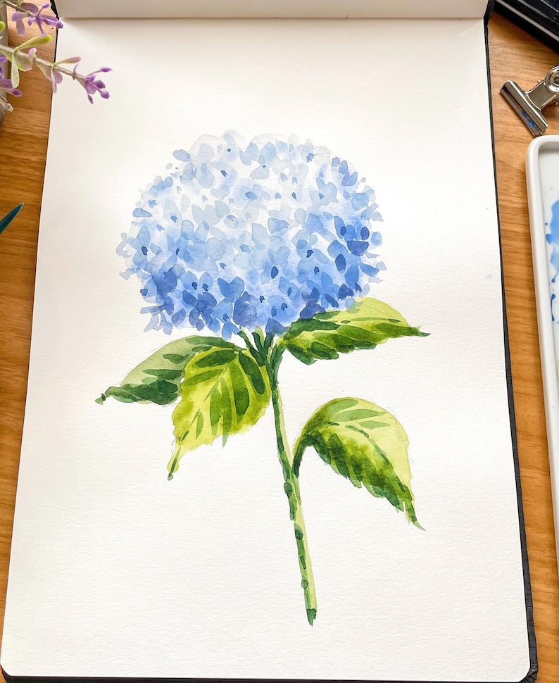 Hydrangea Tutorial Video Watercolour Flower Step by Step Painting ...