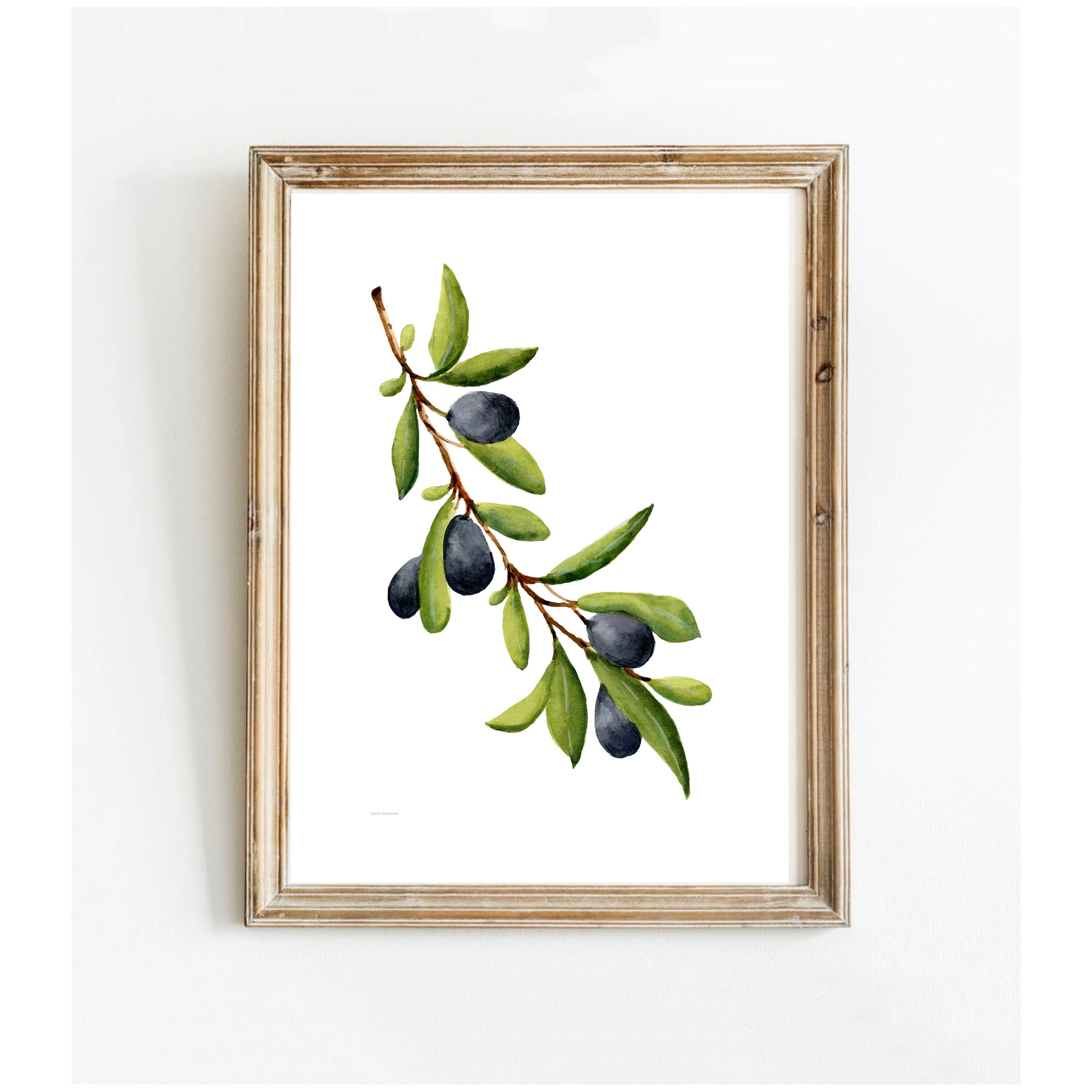 Olive Branch Printable Art, Botanical Wall Art, Olive Branch Watercolor ...