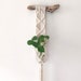 Macrame PATTERN - Written PDF and Knot Guide - Diy Macrame Mini Plant ...