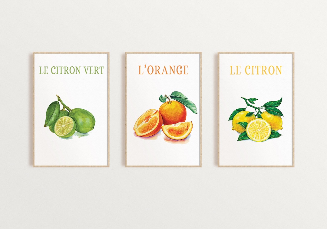 Citrus Fruit Print, Print Set of 3, French Fruit Art Prints, Fruit Wall ...