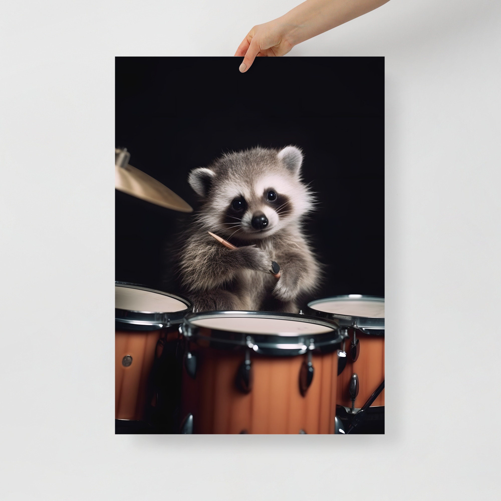 Drumkit Poster Raccoon Drum Poster Cute Baby Raccoon - Etsy