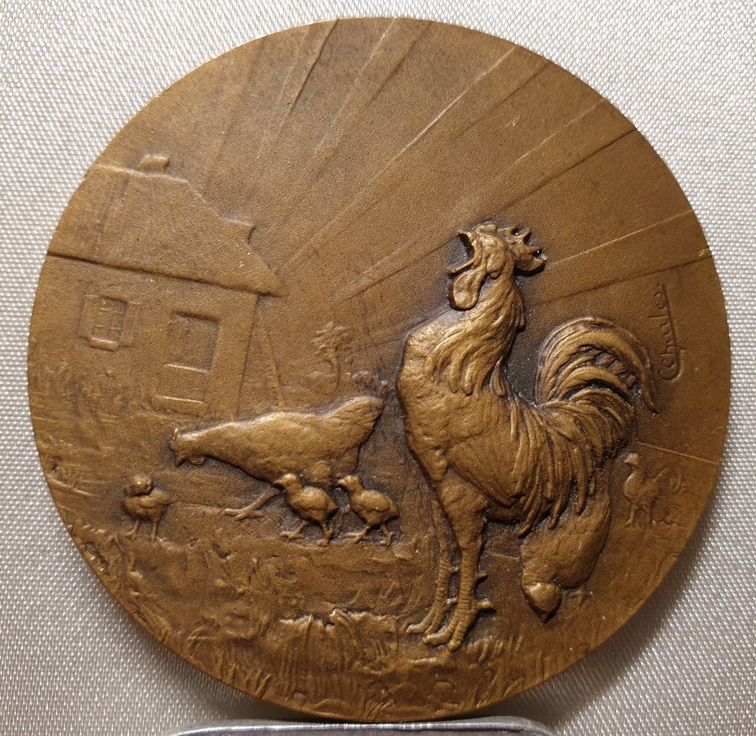 French Art Medal Rooster Poultry Bronze 46mm - Etsy