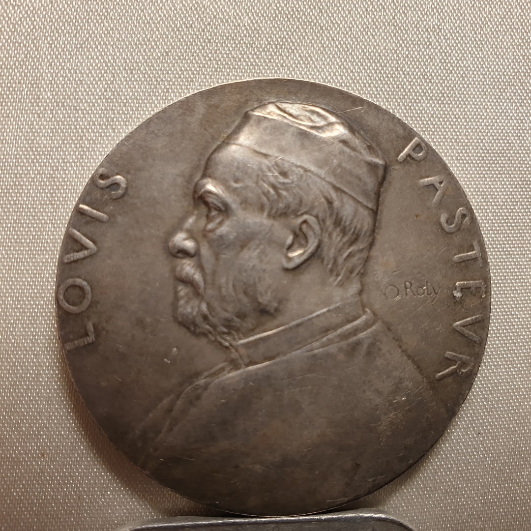 Pasteur French 37mm Silver Medal by Roty - Etsy