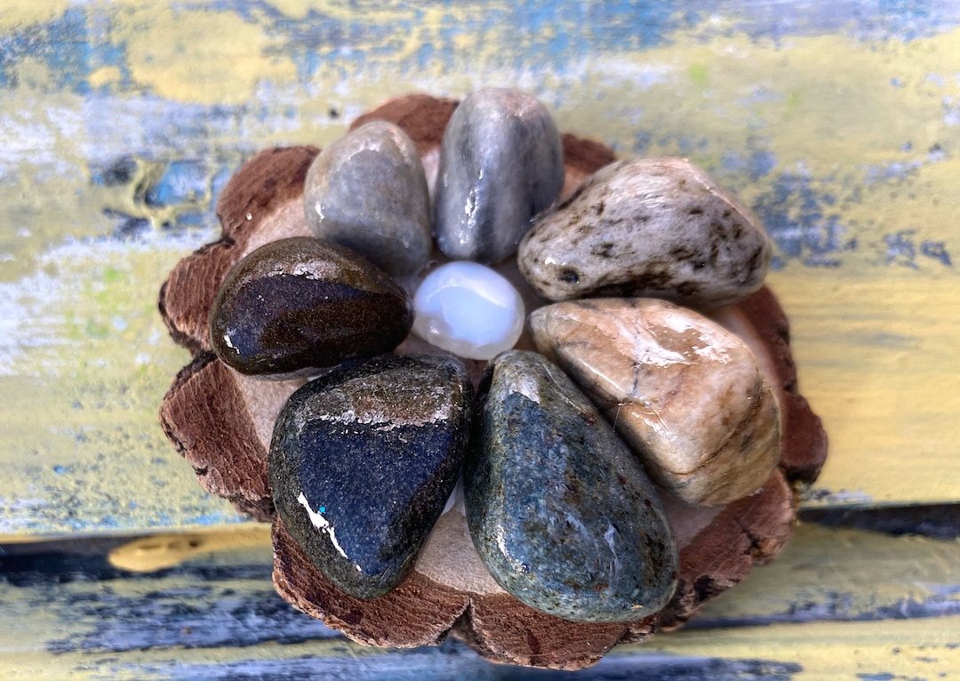 Live Edge / River Rock Refrigerator Magnet - Etsy
