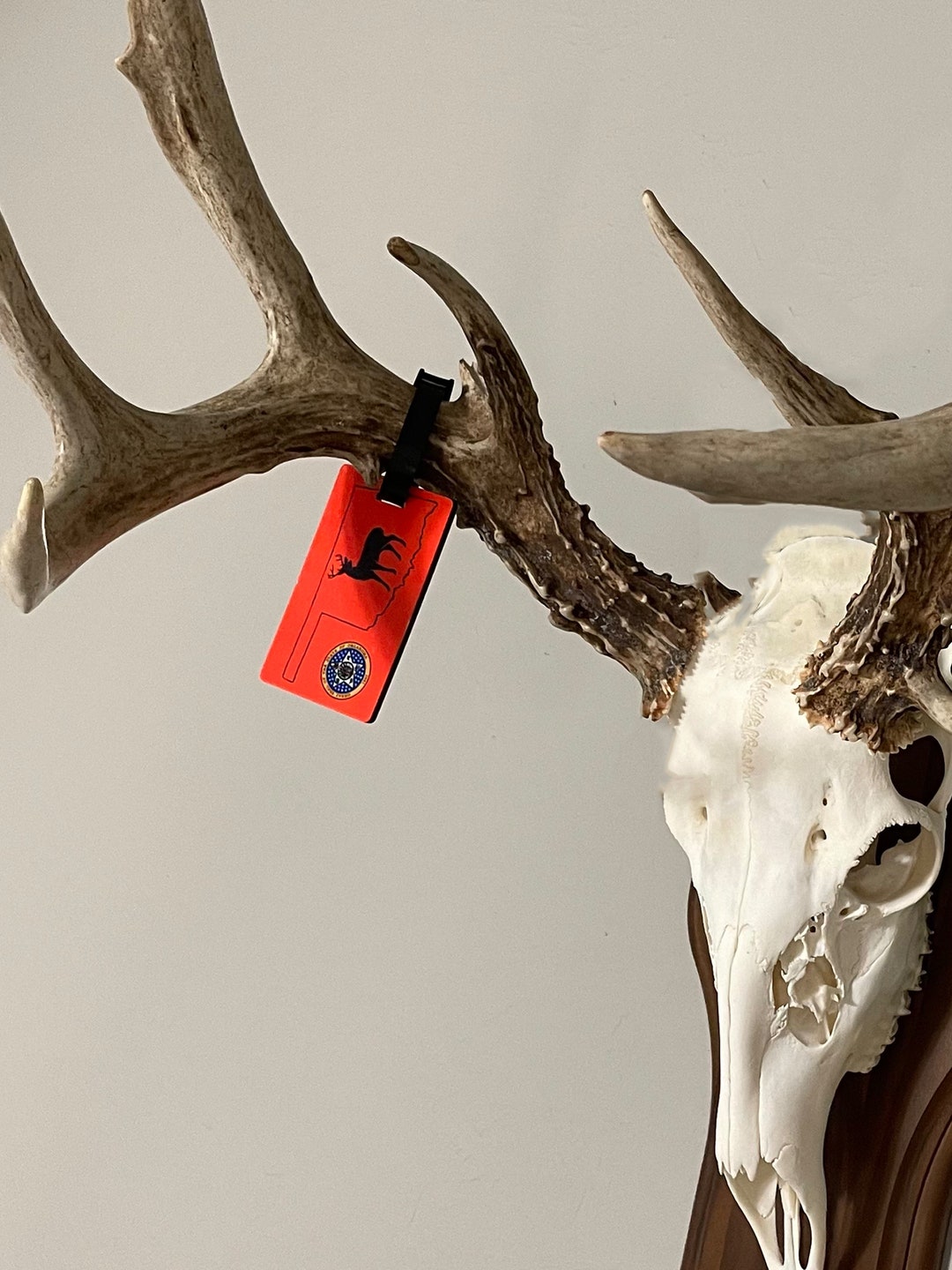 Deer Tag, Tags, Hunting, Personalized for Your State - Etsy