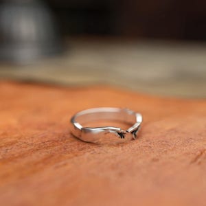 Hand of God Adam Ring - 925 Sterling Silver - Genesis Creation ...