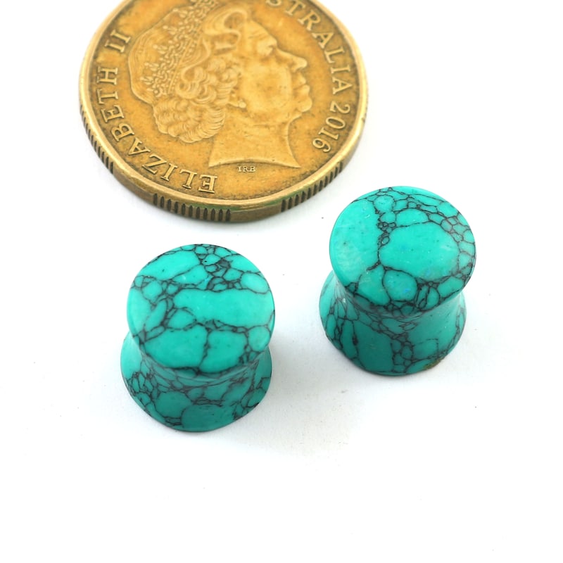 00g Plugs - Etsy