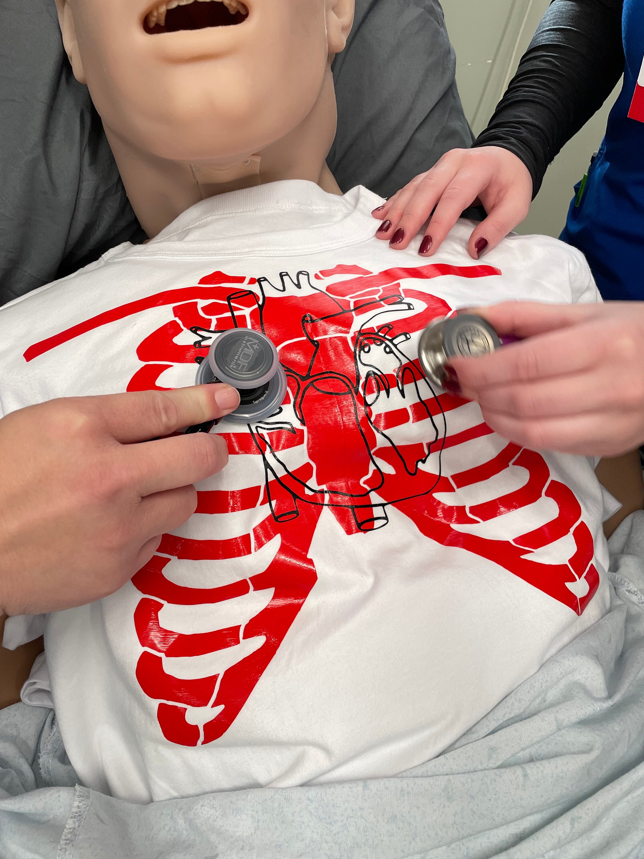 Nursing- Cardiac Assessment - Etsy