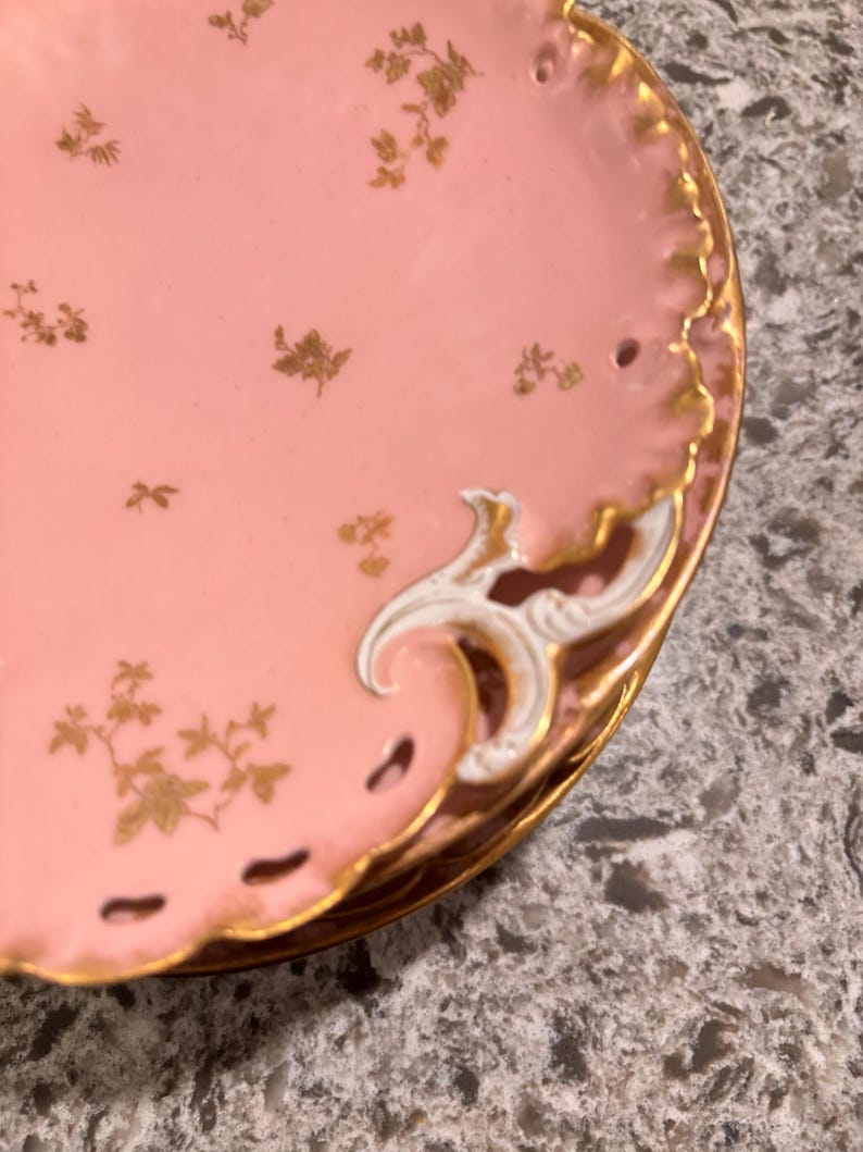 Victorian Plates From Haviland & Co, Made in Limoges, France, Pink and ...