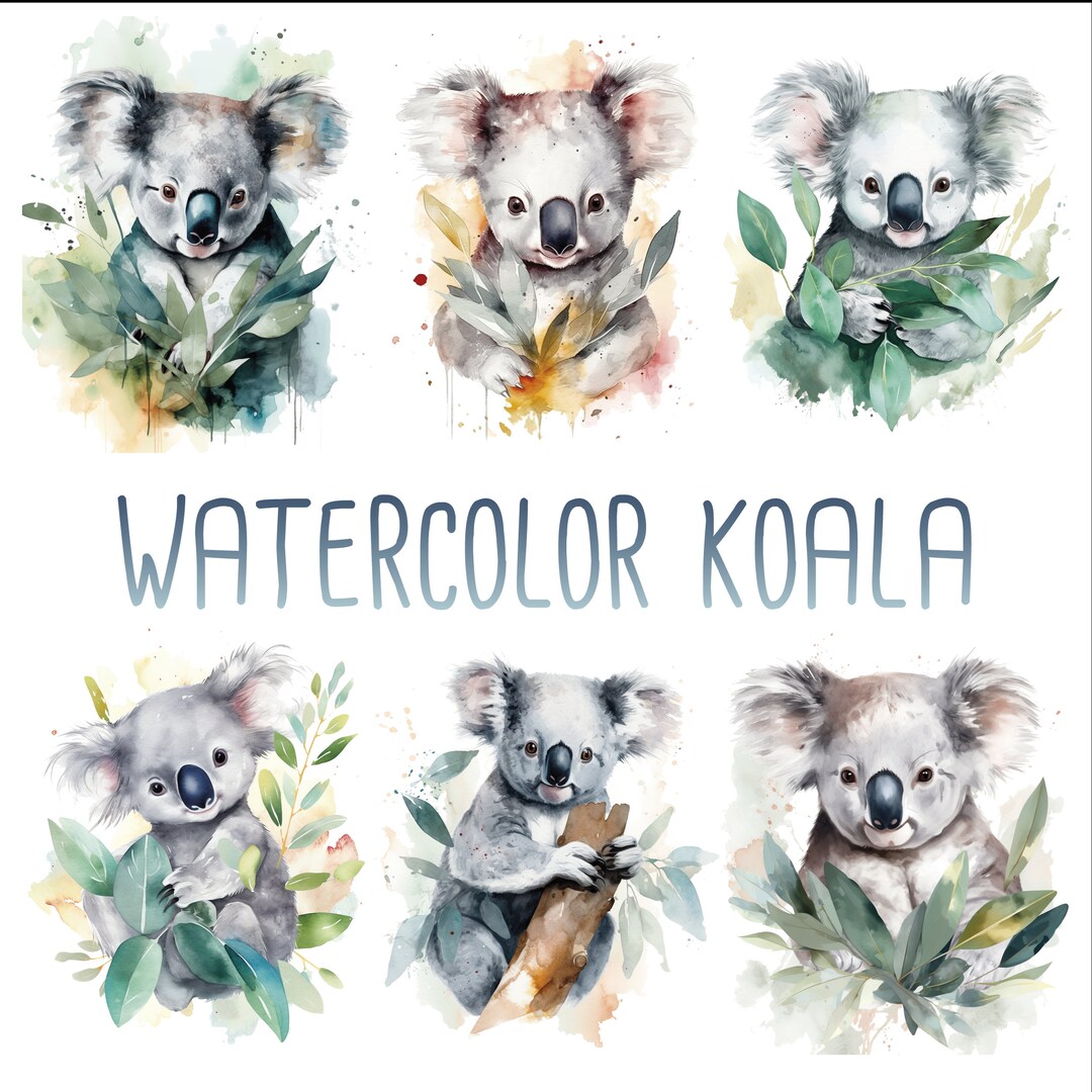Koala Watercolor Clipart, Watercolor Koala, Koala PNG, Cute Animal ...